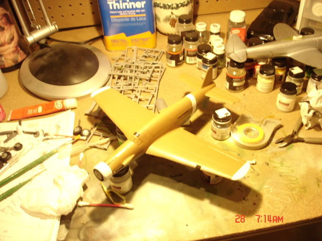 My 2 Birds - Aircraft - Finescale Modeler Forum