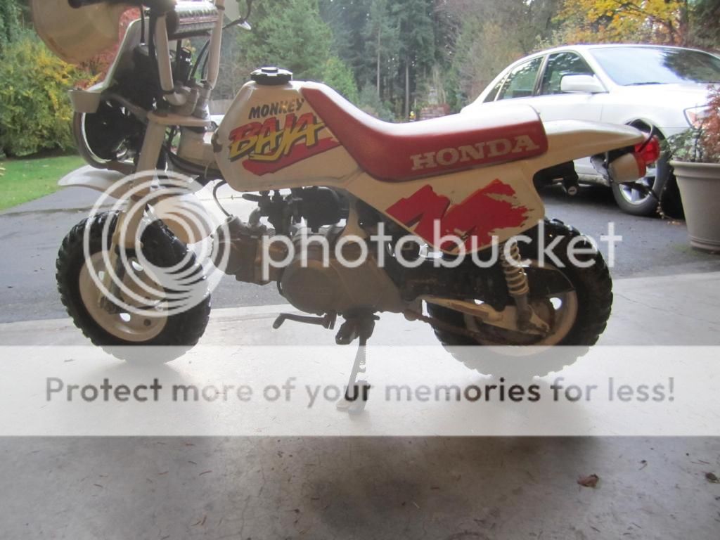 Picked up a BAJA!! | PlanetMinis Forums