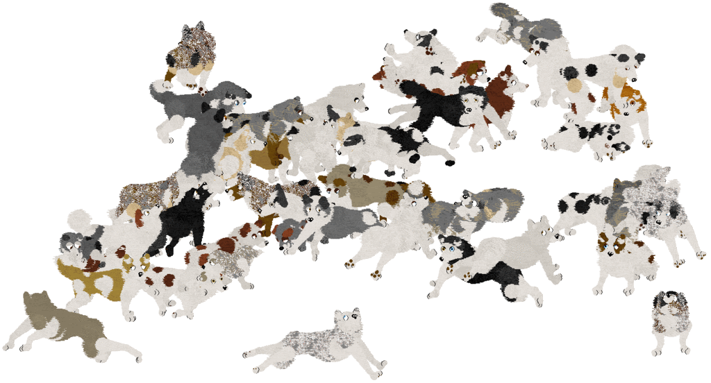 View topic - Petz Fanclub! Moved - Chicken Smoothie