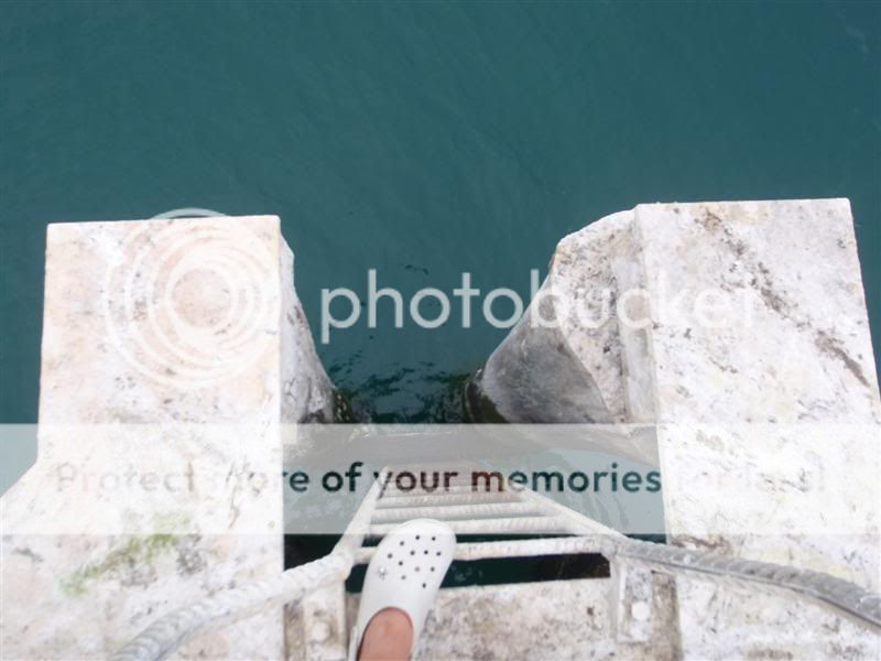 Fawkner Beacon paddle. | Stand Up Paddle Forums, page 1 - Seabreeze